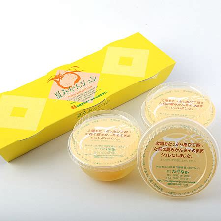 夏みかん ジュレ 150g 3個入り 夏みかんのたけなか