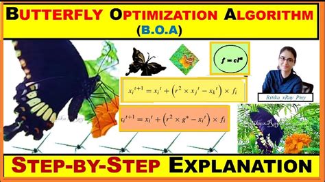 Learn Butterfly Optimization Algorithm Boa Step By Step Explanation ~xray Pixy Youtube