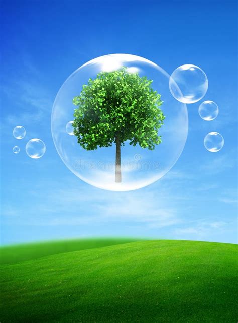 Bubble With Tree Stock Illustration Illustration Of Shiny
