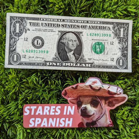 Stares In Spanish Chihuahua Meme Sticker Decal Dtsmarket