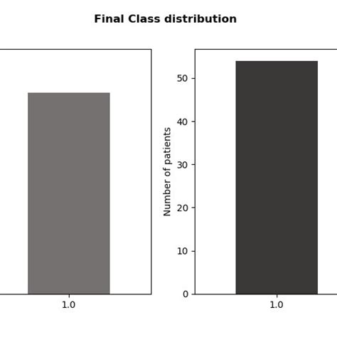 Final Distribution Of The Target Variable The Class Was Transform Into
