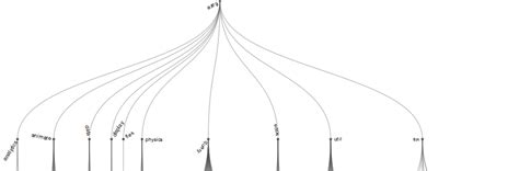 How Does D3jsversion3 Figure Out It Is A Radial Tree Layout Stack