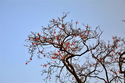 파란하늘 이미지 찾아보기 2440 스톡 사진 벡터 및 비디오 Adobe Stock