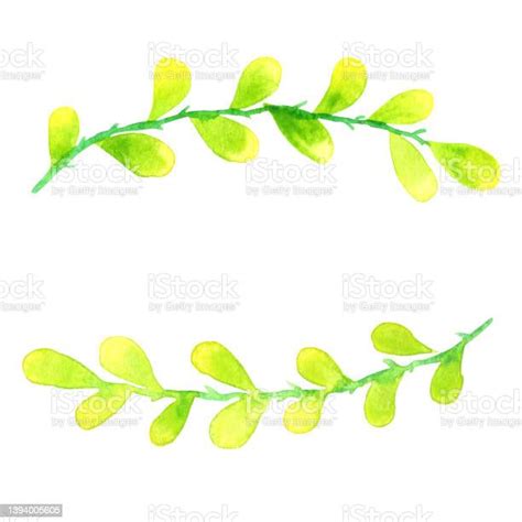 녹색 잎은 자연 정원과 건강에 장식을위한 수채화 화환입니다 0명에 대한 스톡 벡터 아트 및 기타 이미지 0명 건강한 생활방식 관목 Istock