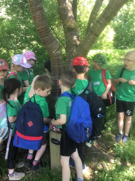 Bodenham Arboretum Trip Brown Clee Ce Primary School