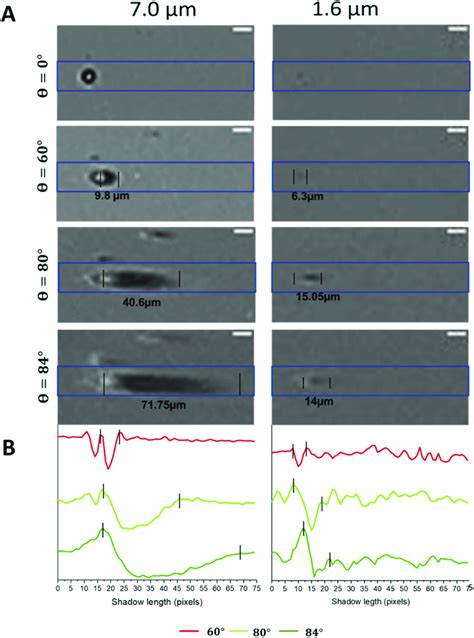 Shadow Measurements For Estimation Of Object Dimensions A The Length Download Scientific