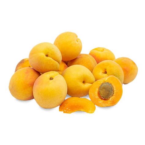 משתלת חסקלברג עצי פרי משתלה אונליין משלוחים עד הבית כפר ויתקין