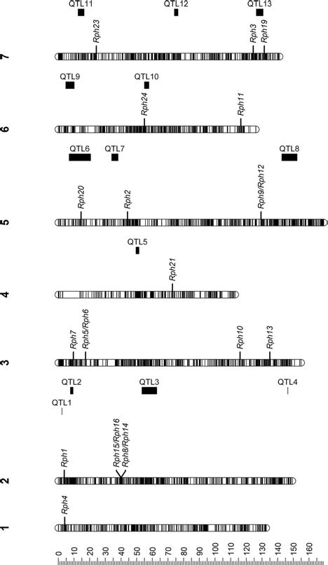 Chromosome Location Of Qtls Detected And Position Of Dart Seq Markers