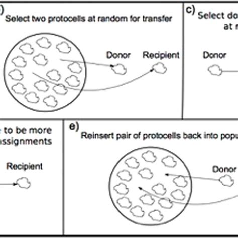 Assignments Of The 64 Codons Of The Genetic Code The Bases Of The