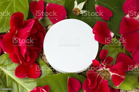 숲 잎 이끼 꽃 및 꽃잎의 배경에 뷰티 화장품을위한 흰색 연단 얼굴과 바디 케어를위한 환경 친화적 인 화장품에 적합합니다 광고