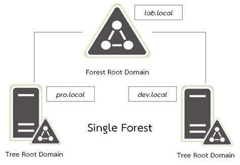 Domain Model Codeinsane