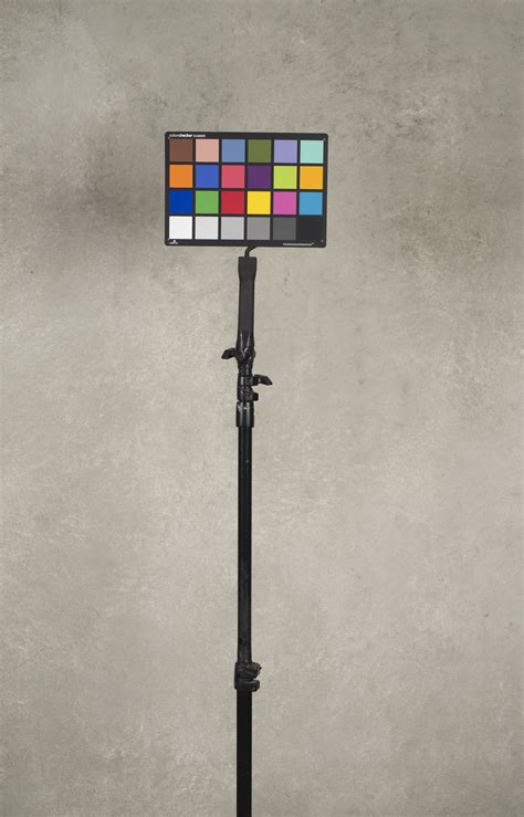 12558 Grey Mid Text Xs Gravitybackdrops