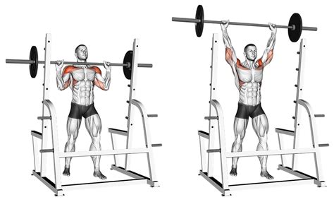 Overhead Press Form Build 3d Shoulders And Stop Back Pain