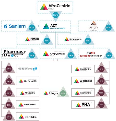 Group Structure Afrocentric Integrated Annual Report 2019
