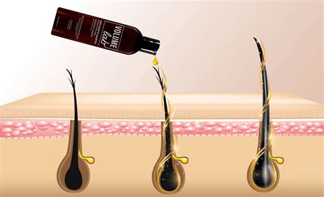 Volume Lab Shampoo erhöht das Wachstum und Dichte neuer Haare