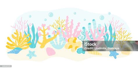 수중 세계 요소의 수평 구성 산호 식물 조류 초대장 엽서 표지 조개껍데기 벡터 그림입니다 해양 배경입니다 이국적인 산호초 배너