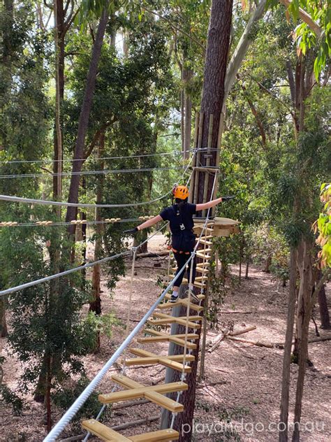 Treeclimb Aerial Adventure Park Kuitpo Forest Mini Course And Nets