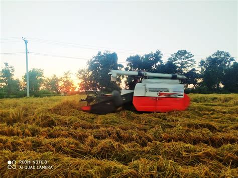 မိုးစပါးရိတ်သိမ်းချိန်ဈေးကောင်းရရှိသည့်အတွက် နွေစပါးစိုက်ပျိုးရေရရှိပါက လျာထားဧက ကျော်လာနိုင