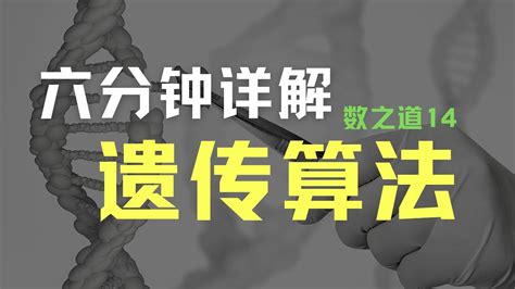 数之道14六分钟时间带你走近遗传算法 Genetic Algorithm in 6 minutes YouTube