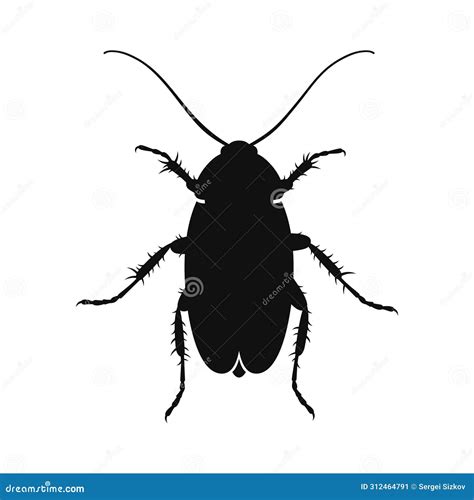 Cockroach Icon In Black Style Isolated On White Insects Pattern