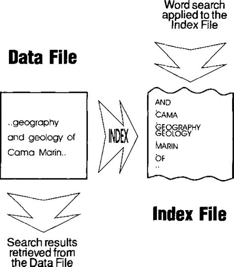 Figure 2 From The Use Of Text Databases In The Management Of