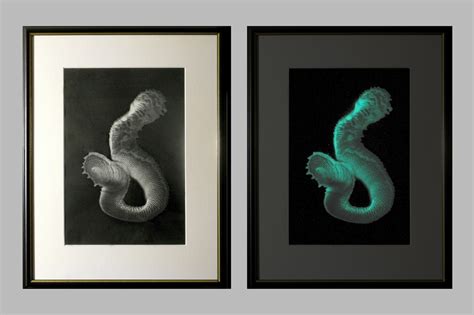 Jason Shulman Anne Darrow