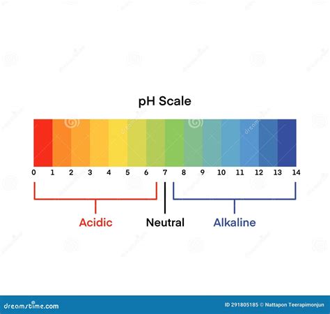 Ph Scale Diagram Ph Scale Vector Graphic Acid To Base Stock