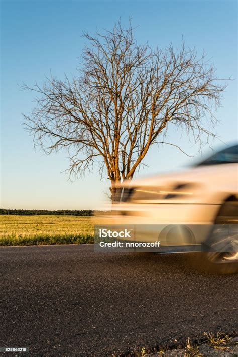 모션에 흰색 자동차의 일부입니다 Cloudless 날씨에 길가에 나무와 아스팔트로 포장된 한 시골도 갑자기 방향을 틈에 대한 스톡 사진 및 기타 이미지 Istock