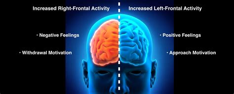 Frontal Asymmetry 101 How To Get Insights On Motivation And Emotions From Eeg Imotions