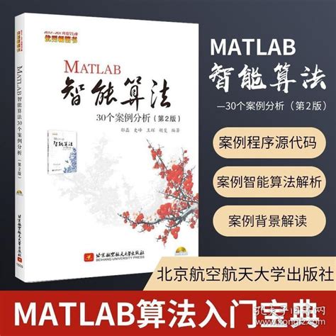 正版 Matlab智能算法30个案例分析 第2版 Matlab算法入门教程书籍 Matlab宝典 Matlab语言编程教程从入门到精通 程序