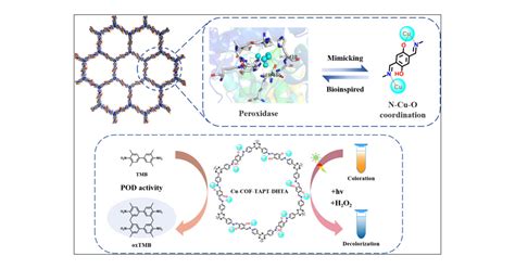 Harnessing Copper Metalated Covalent Organic Frameworks A Biomimetic Approach To High