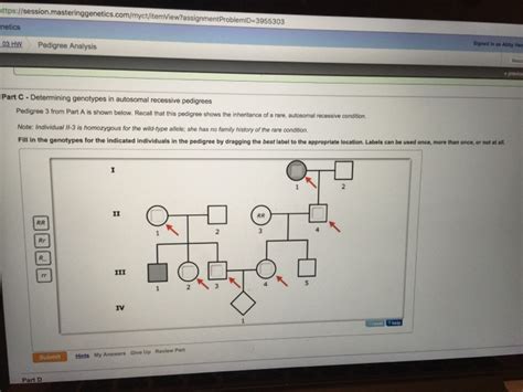 solved determining genotype in autosomal recessive pedigrees