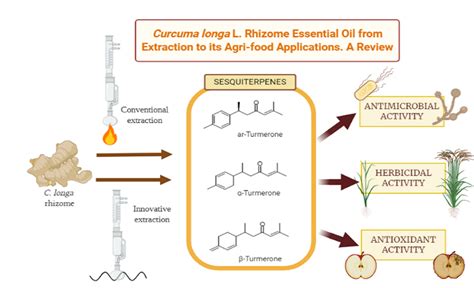 Plants Free Full Text Curcuma Longa L Rhizome Essential Oil From Extraction To Its Agri