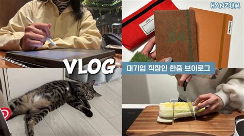 Vlog 미친 감기 극복하고 공부하는 직장인 대기업 브이로그 교대근무 새해 다이어리 소개 갓생 꿀팁
