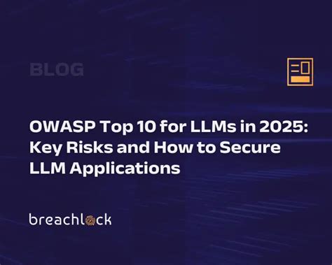 Owasp Top 10 For Llms In 2025 Key Risks And How To Secure Llm
