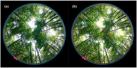 Remote Sensing Special Issue Leaf Area Index Lai Retrieval Using Remote Sensing