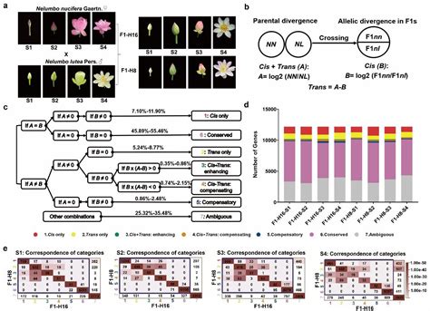 Cis And Trans Regulatory Variants Affect Flower Color Differentiation