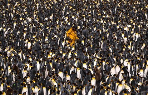 A Visit To The French Southern And Antarctic Lands The Atlantic