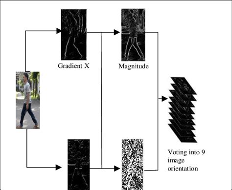 Constructing 9 Layers Of Gradients Based On The Orientation Orientation Download Scientific