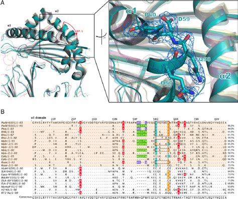 Structural And Sequence Alignment A Structural Comparison Among