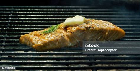 바베 큐 그릴에 석탄의 침대 딜과 버터와 조미 연어 스테이크 등심 요리 물고기에 대한 스톡 사진 및 기타 이미지 물고기 버터 스테이크 Istock