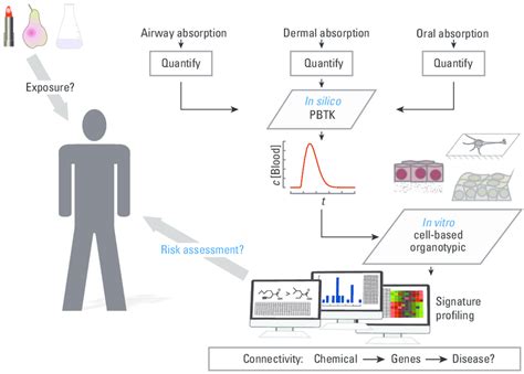 Schematic Overview Of The Required Components Of A Tox Test Dummy Download Scientific Diagram