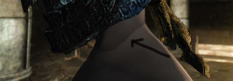 UNP Body Head Color Mismatch When Using Head Mesh In Armor Skyrim Technical Support LoversLab