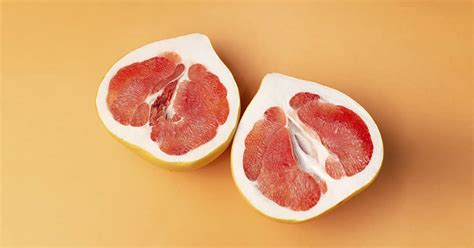 Tipos De Vulvas Seg N La Edad Descubre Sus Caracter Sticas Claridad Mental