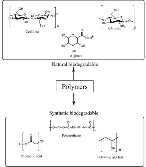 Classification Of Some Natural And Synthetic Biodegradable Polymers Download Scientific Diagram