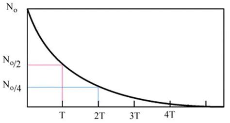 半衰期 维典百科