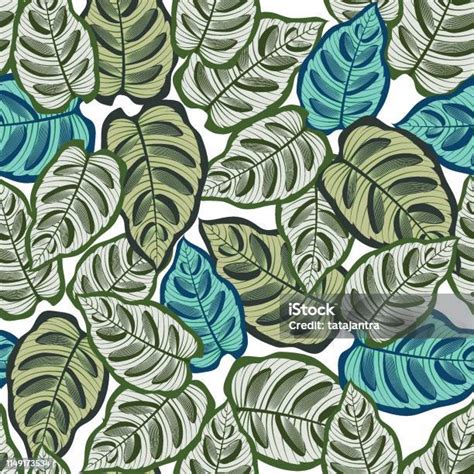 열 대 잎과 완벽 한 패턴 손바닥 몬스 테라 정글 잎 원활한 벡터 패턴 어두운 배경 수영복 식물 디자인입니다 벡터 벡터 0명에 대한 스톡 벡터 아트 및 기타 이미지 Istock