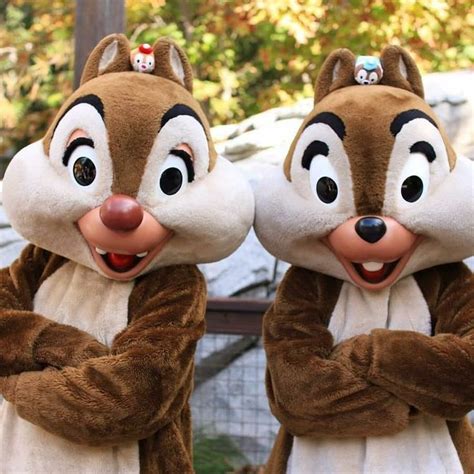 Chip N Dale Disney Park Characters Disney Characters Costumes Disney Chip And Dale