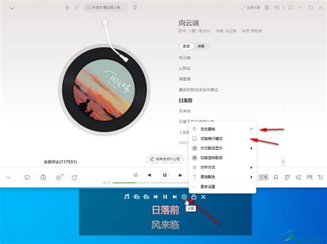 网易云音乐如何设置歌词显示两行 网易云音乐中设置歌词显示双行的方法教程 极光下载站
