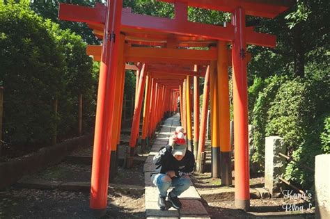 Day4 일본여행 도쿄 5박6일 야나카긴자 고양이마을 네즈신사 스크램블크로스 시부야스타벅스 스타벅스츠타야 규까츠맛집